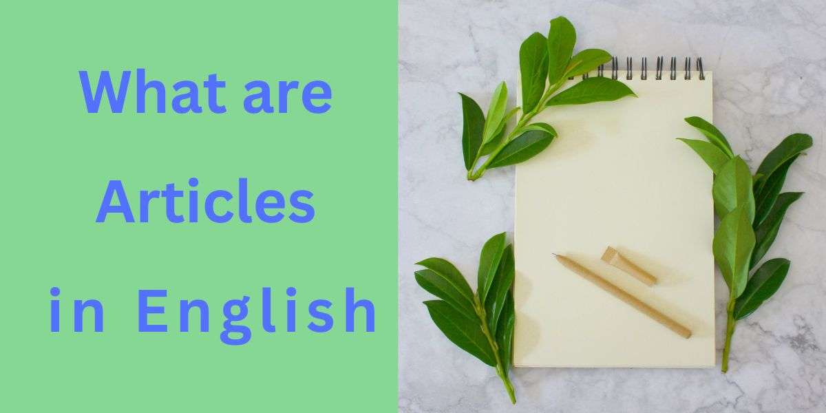 What are Articles in English - 87knowledge