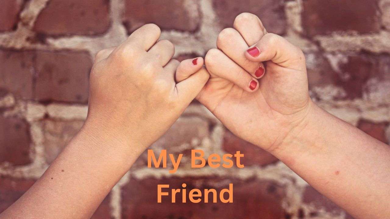 Paragraph Writing in English - My Best Friend - 87knowledge Paragraph Writing in English - My Best Friend - 87knowledge