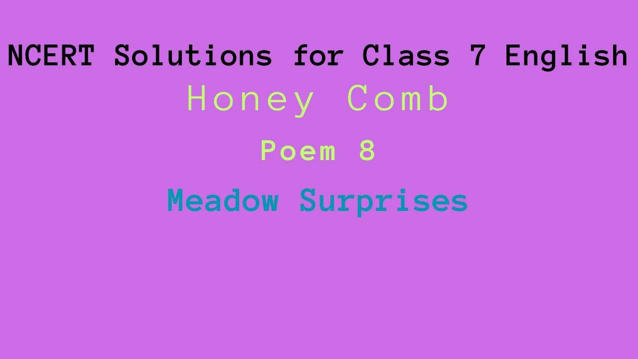 NCERT Solutions for Class 7 English Honeycomb Poem 8 - 87knowledge